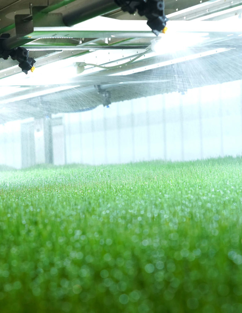 Introducing: Regenerative Agriculture Division - Penner Farm Services